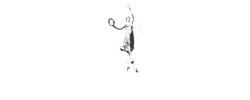 Litigation Expert for Legal Aid - Hugo Parker, LLP